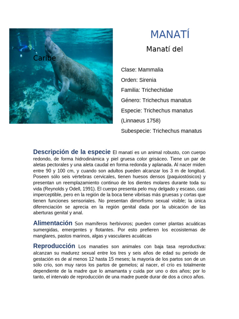 MANATÍ | PDF