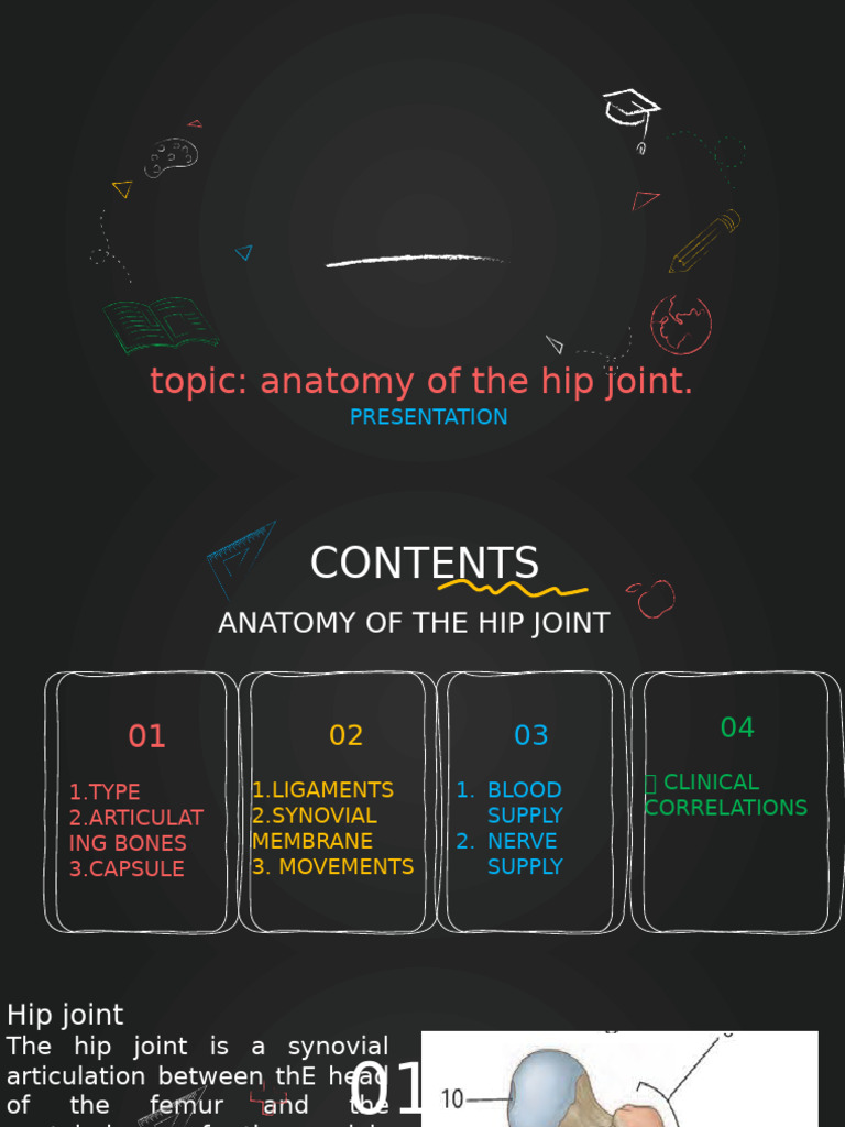 Hip Joint Anatomy and Function Explained | PDF