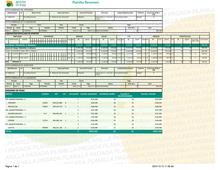 S.S Siv Nov 24 | PDF | Servicios financieros | Pensión