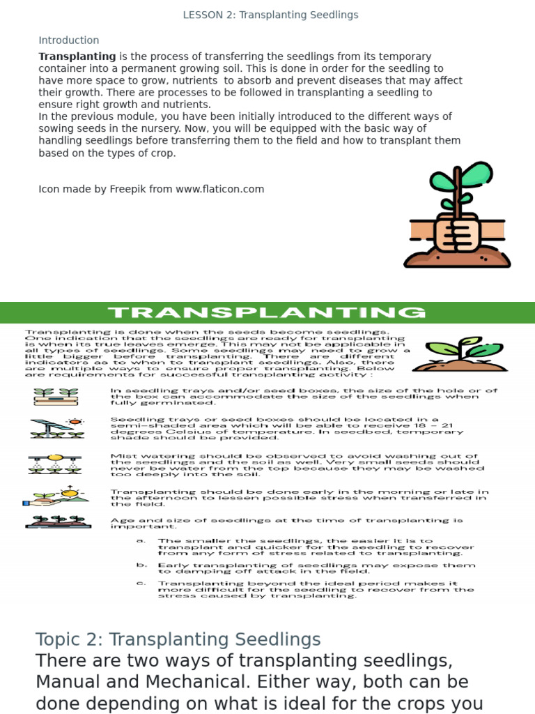 Seedling Transplanting Techniques Guide | PDF | Seedling | Sowing