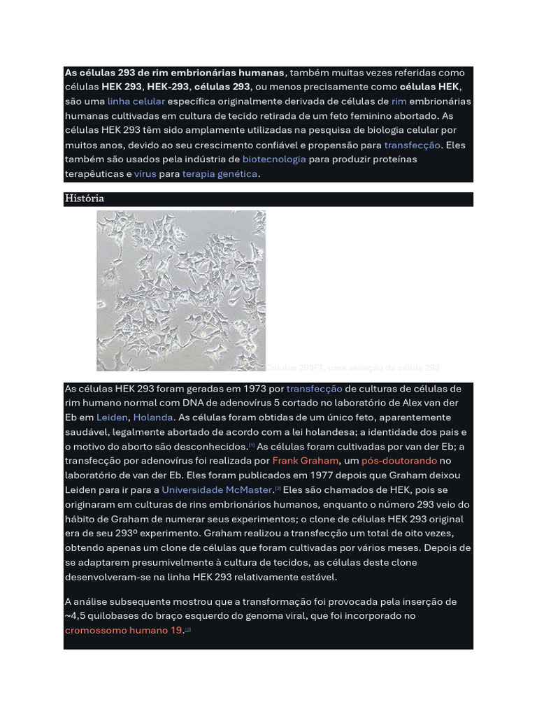 Células HEK 293: História e Aplicações | PDF | Células HEK 293 | Biologia