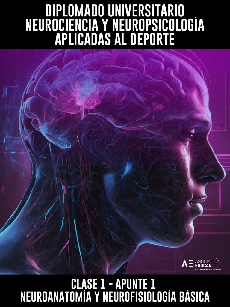 Apunte - Neuroanatomia y Neurofisiologia Basica | PDF | Médula espinal ...