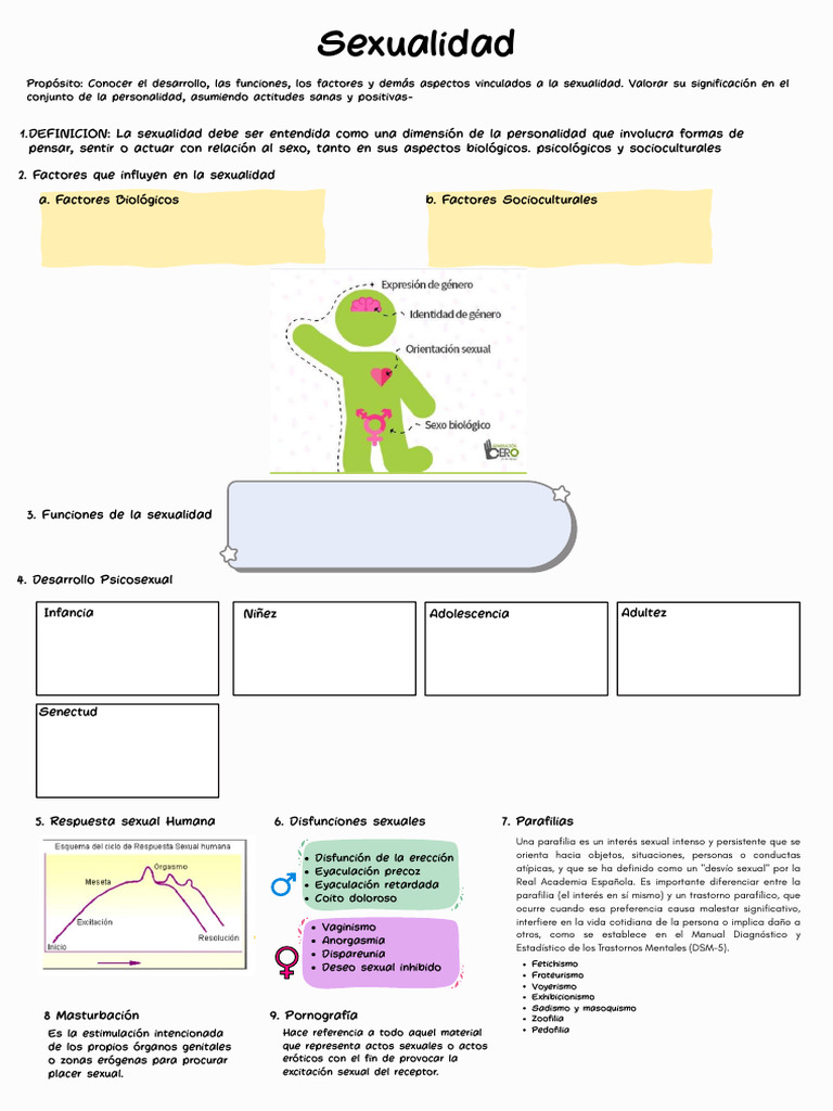 Ficha Sexualidad Humana Pdf La Sexualidad Humana Sexualidad
