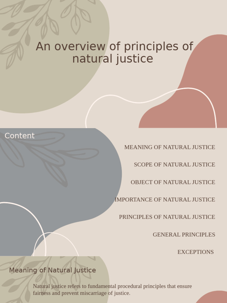 An Overview of Principles of Natural Justice | PDF | Political Law ...