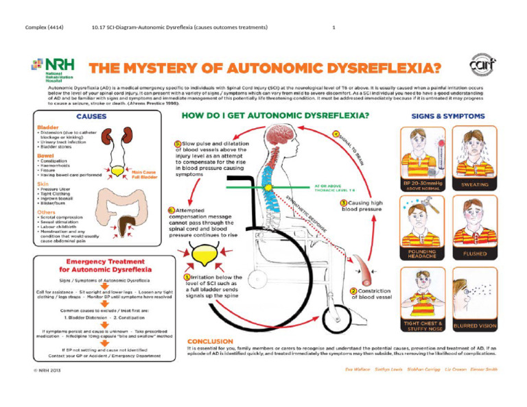 10.17 SCI-Diagram-Autonomic Dysreflexia (Causes Outcomes Treatments) | PDF