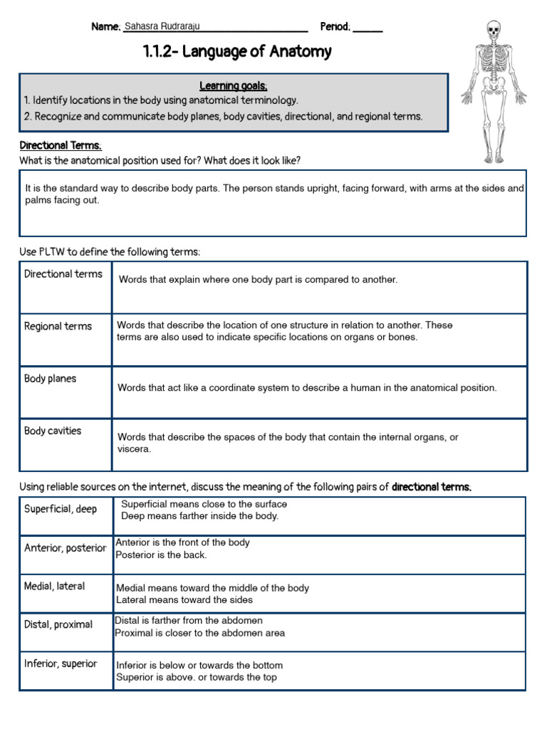 Understanding Anatomical Terminology | PDF | Anatomical Terms Of ...