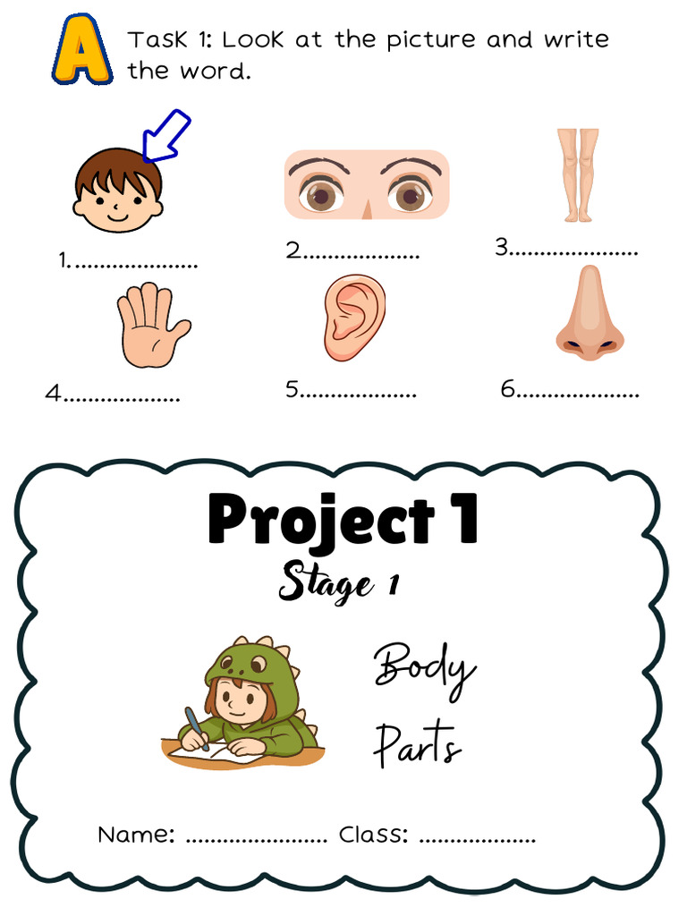 Body Parts Project | PDF