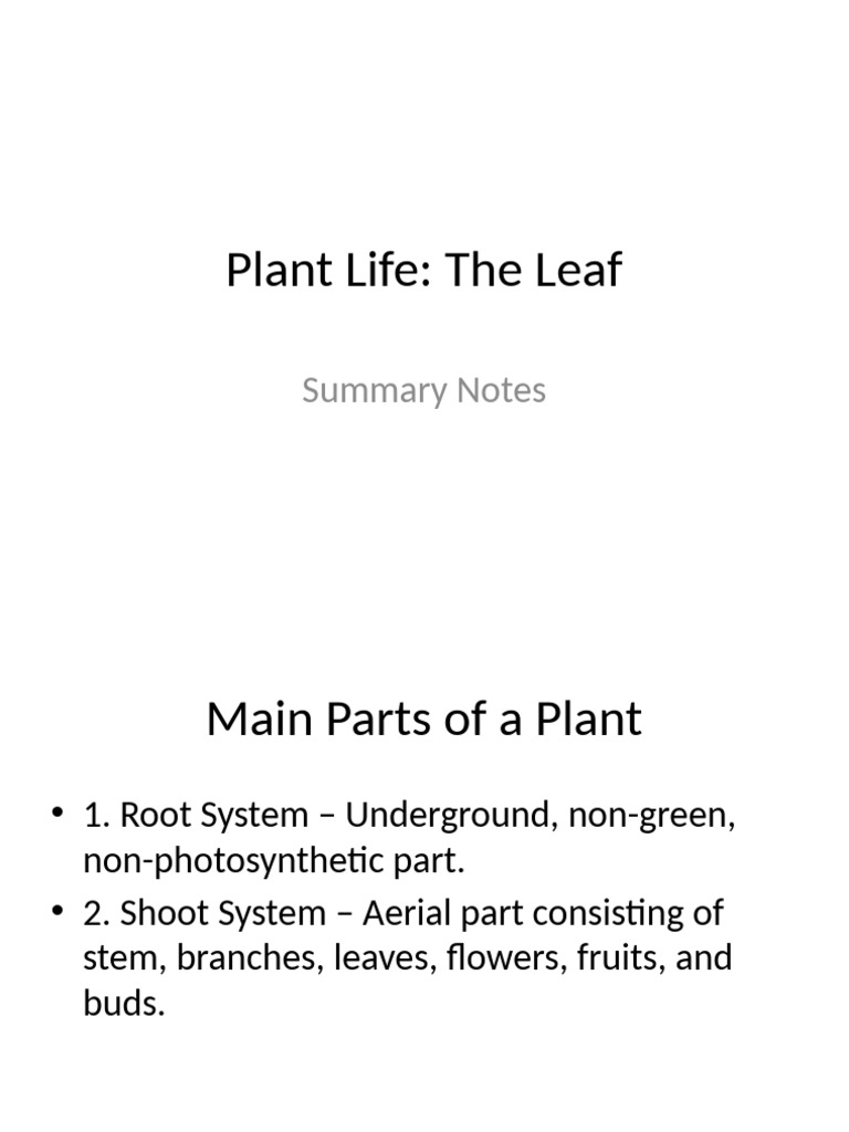 Plant Life The Leaf Summary | PDF
