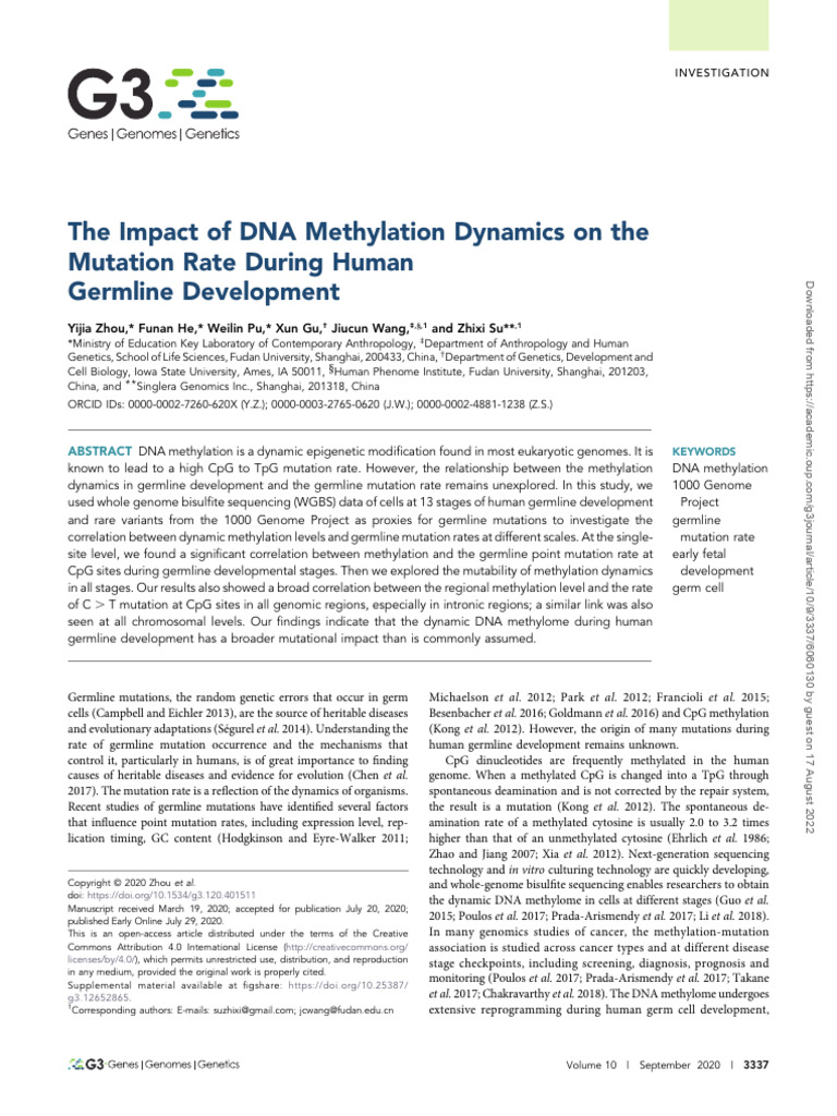 1708 The Impact of DNA Methylation Dynamics On The Mutation Rate During ...