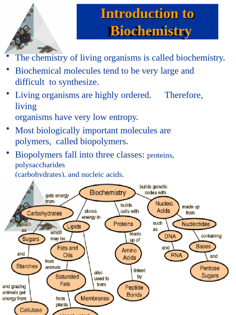 Biochem | PDF | Nucleic Acids | Carbohydrates
