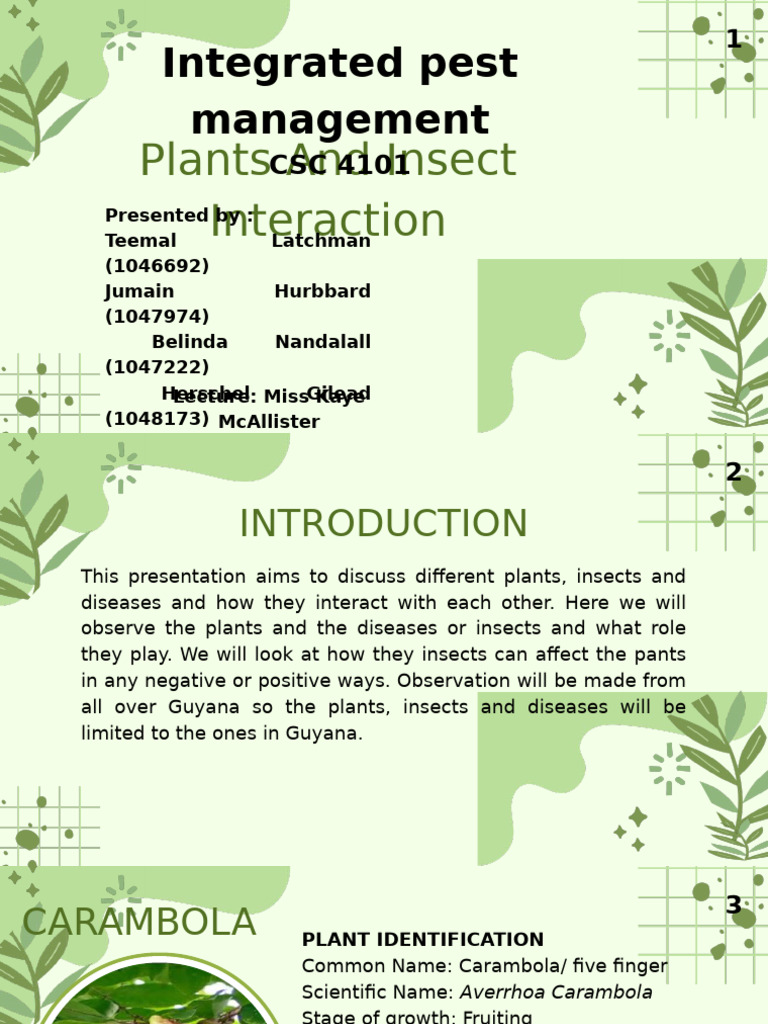 Assignmnet # 2 Plants and Insect Interaction | PDF | Pest (Organism ...
