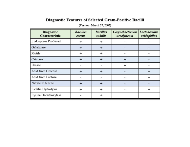 Gram Positive Chart | PDF