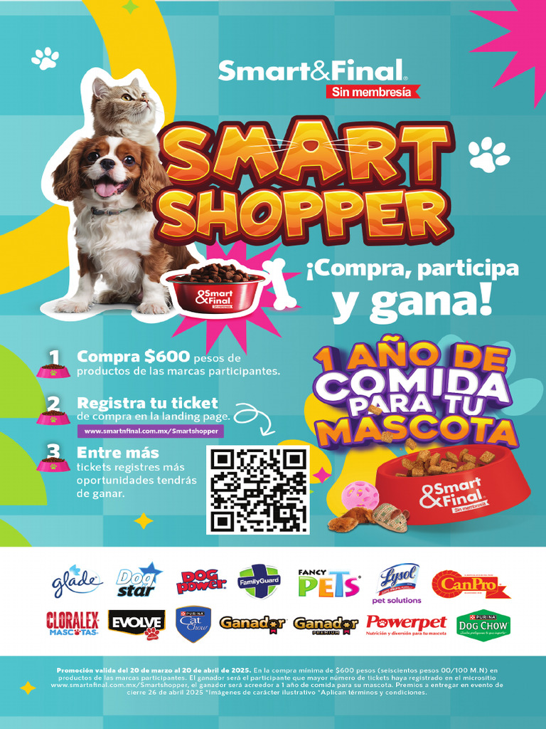 S&F Video Smart Shopper Flyer Media Carta Dinamica | PDF