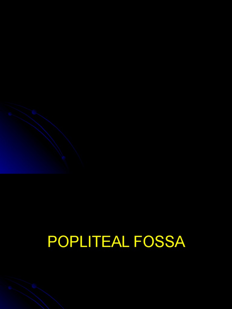 Popliteal Fossa and Leg | PDF | Foot | Limbs (Anatomy)