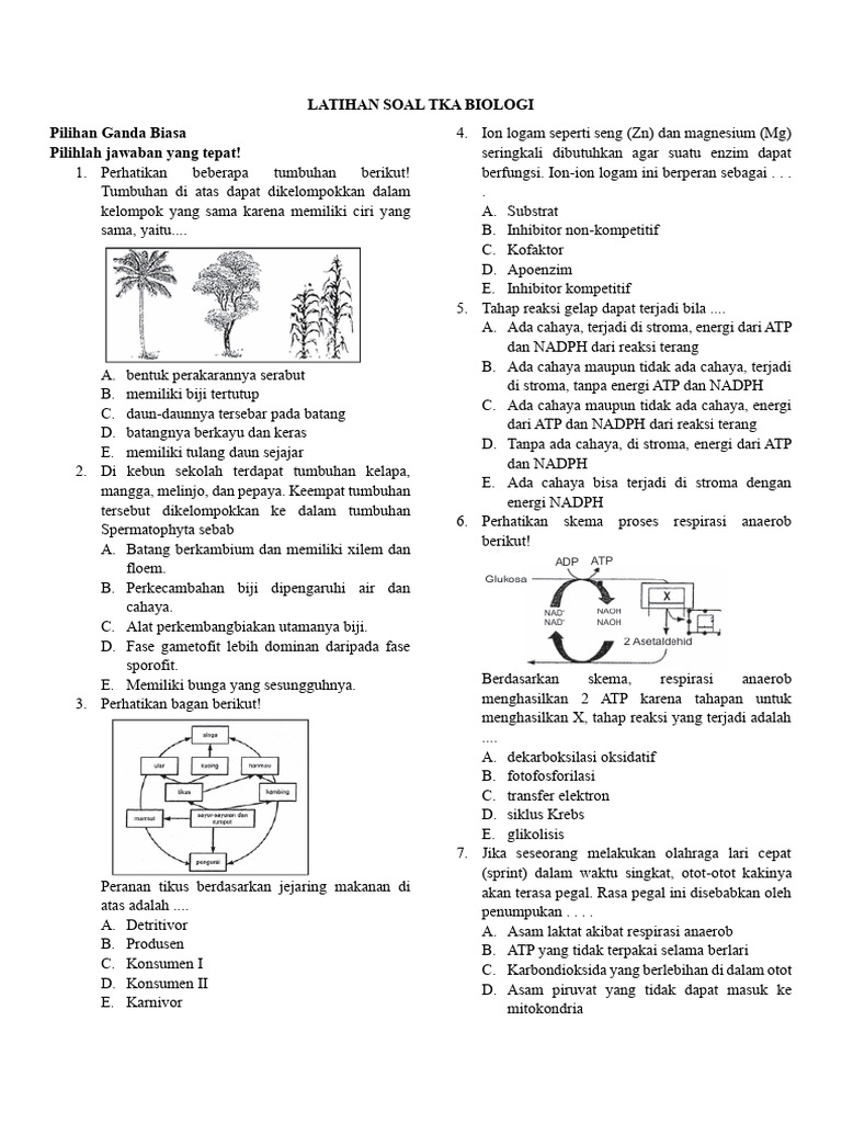 LATIHAN SOAL TKA BIOLOGI 4 | PDF