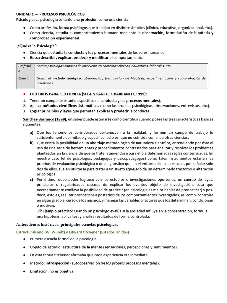 PROCESOS PSICOLOGICOS-LIZ Y KAROL.. | PDF | Neurona | Sicología