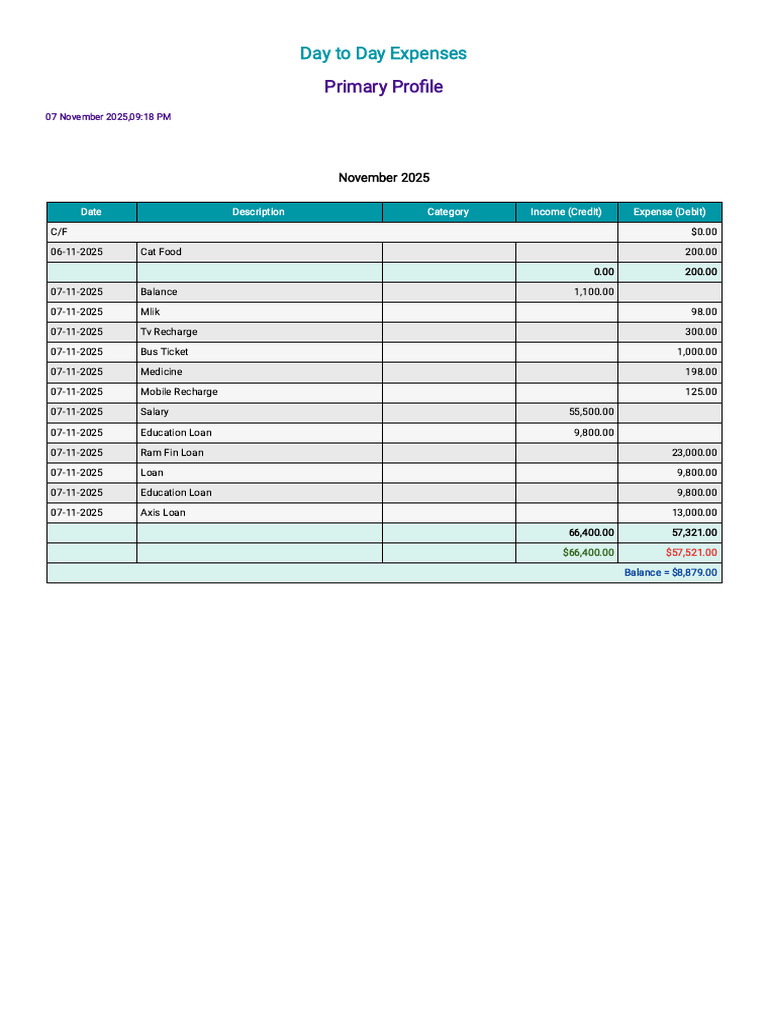 Day To Day Expenses | PDF