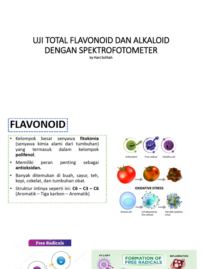 Uji Total Flavonoid dengan Spektrofotometer | PDF