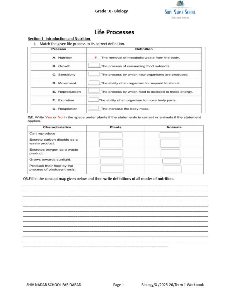 Grade X Biology: Life Processes & Nutrition | PDF | Circulatory System ...