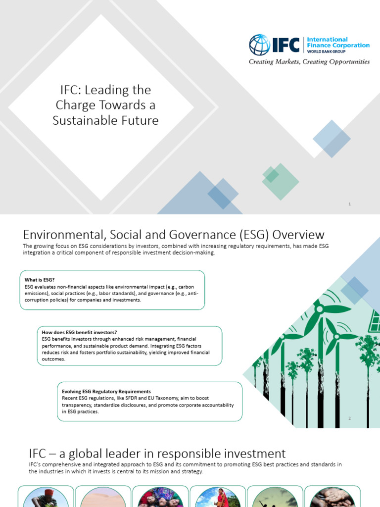 Ayelet Perlstein IFC A Thought Leader in The ESG | PDF | International ...