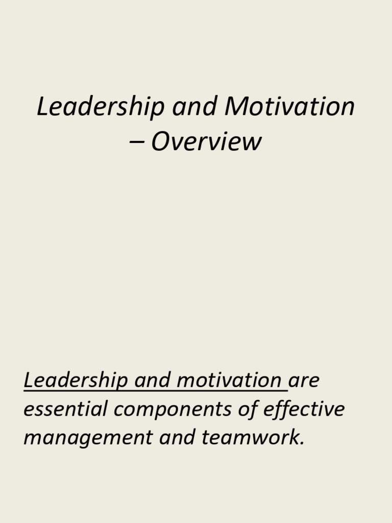 Leadership and Motivation Strategies | PDF | Motivational | Motivation
