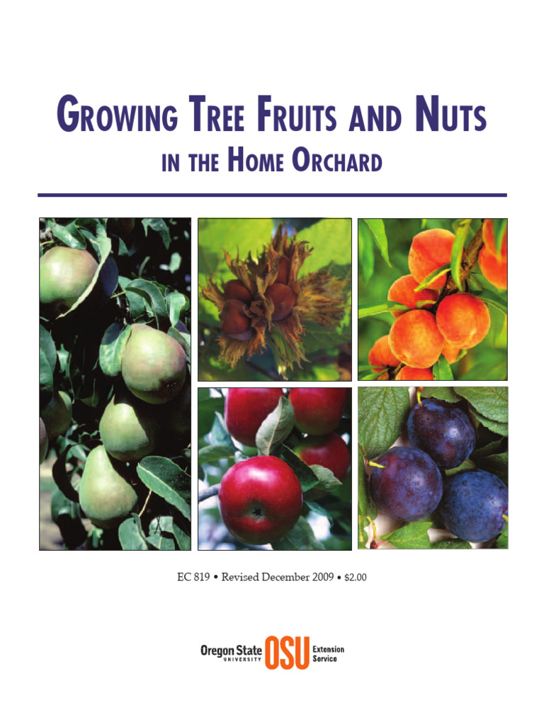 Growing Tree Fruits and Nuts in The Home Orchard | PDF | Peach | Apple