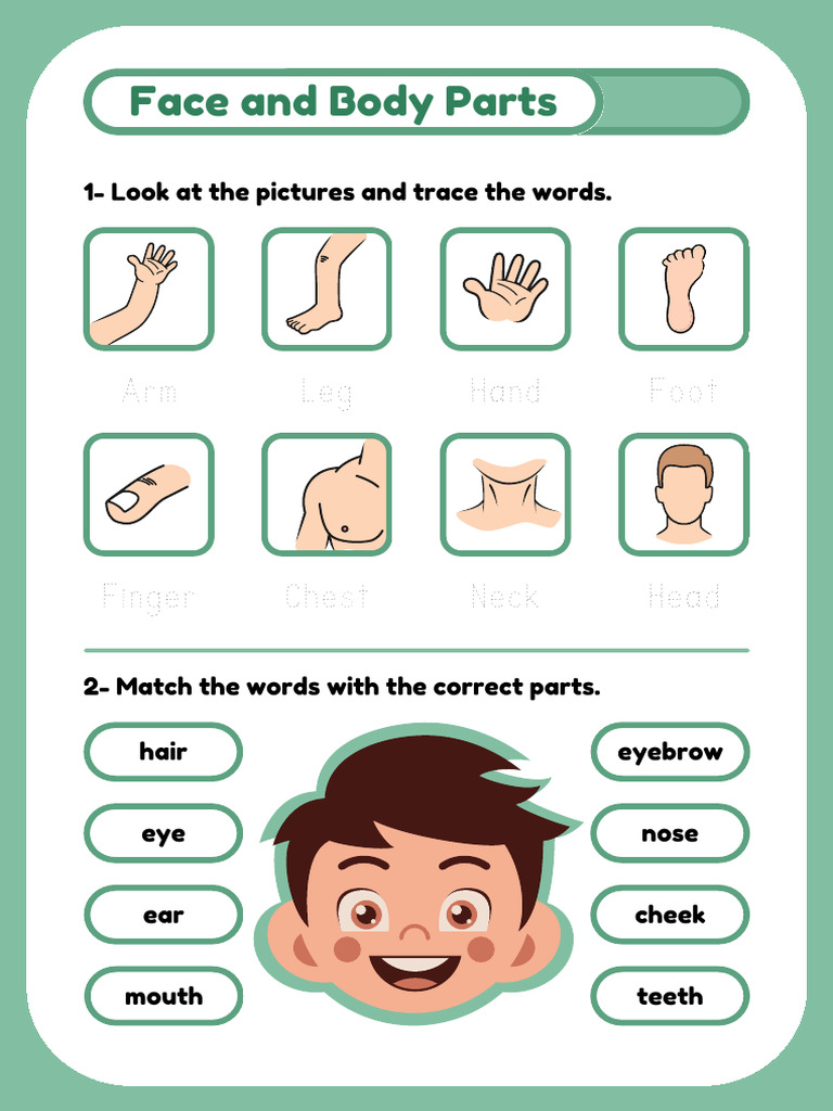 Face and Body Parts Worksheet in Green White Cute Style | PDF