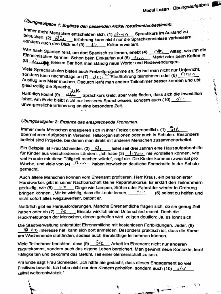 Obungsaufgabo 1 Erganze Den Passenden Ariel Estim Unbestimn) . | PDF