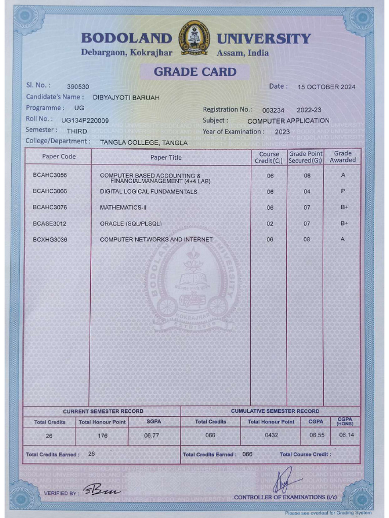 3rd Sem Marksheet | PDF