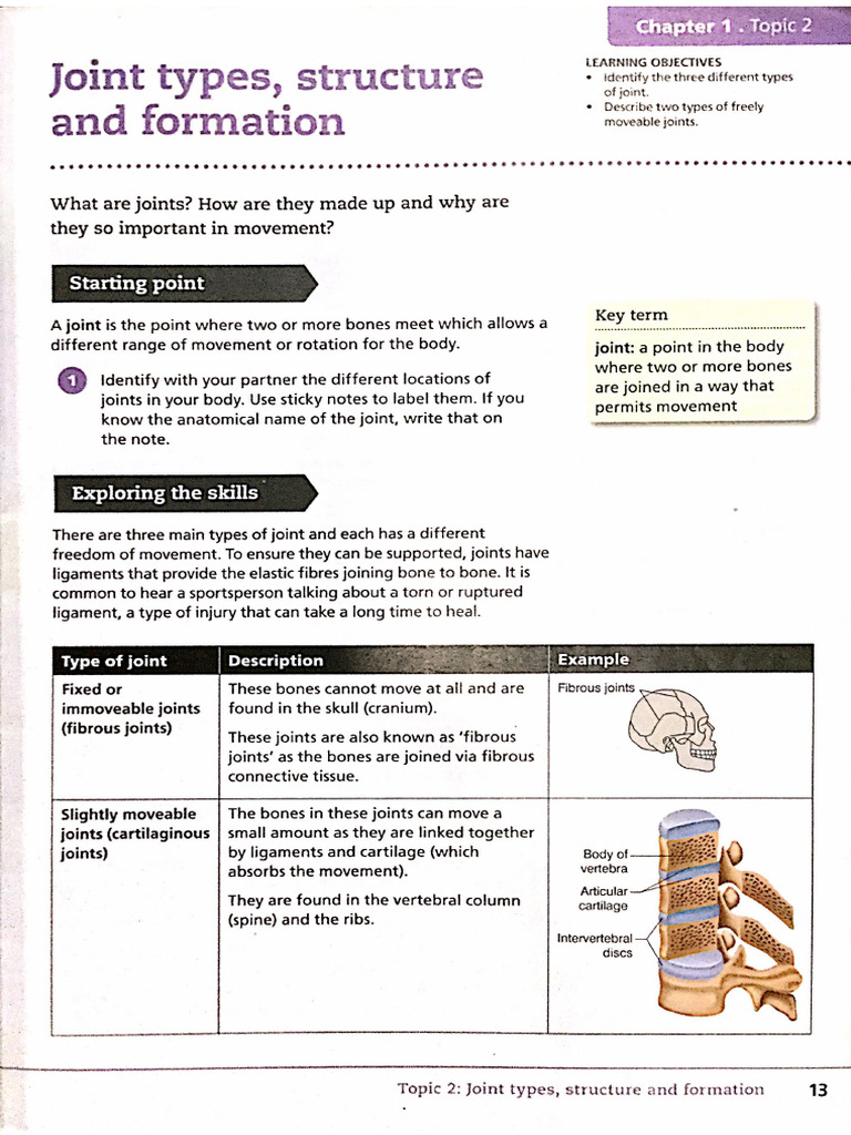 1.2 Joint Types Structure and Formation | PDF