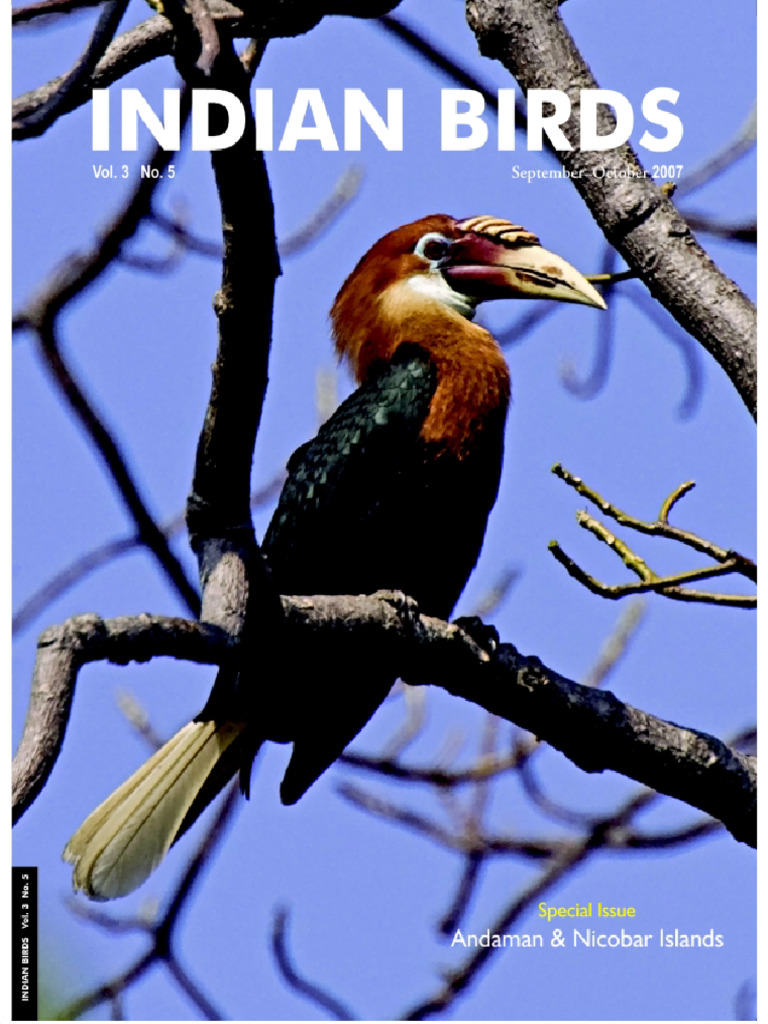 IB_3_5_Web | PDF | Birds | Holarctic Birds