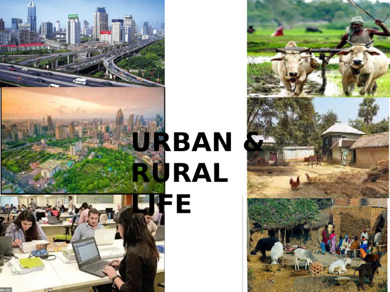 Sst Holiday Homework Vl-d by- Raghav Vishwakarma | PDF