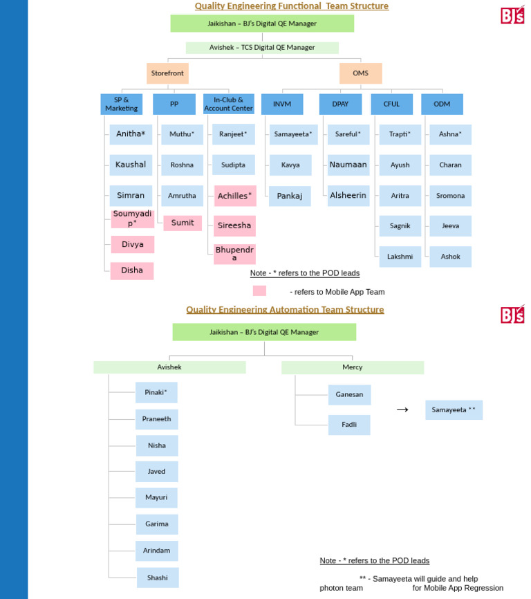 Quality Engineering Team Structure Overview | PDF