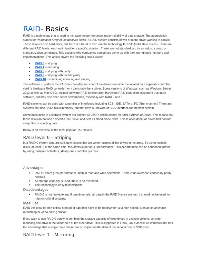 RAID (1) | PDF | Computer Architecture | Computer Hardware