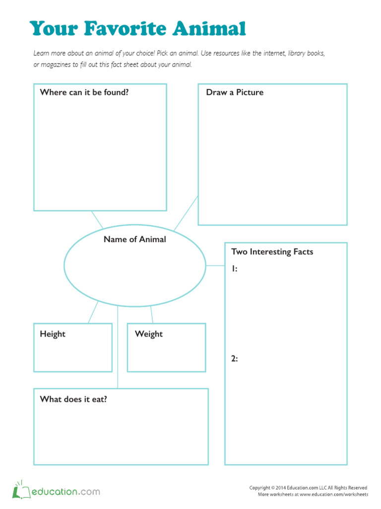 Animal Research Graphic Organizer | PDF