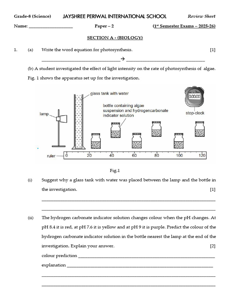Grade 8 Science Exam Review: Photosynthesis & Excretion | PDF | Thermal ...