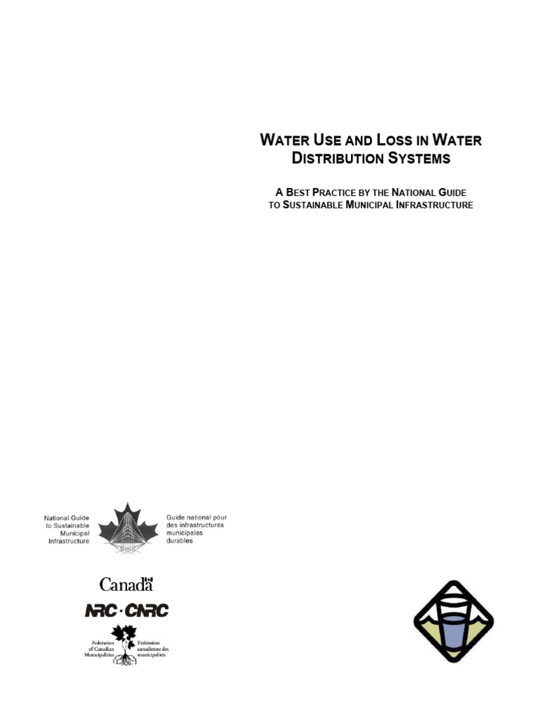 Water Loss Management in Distribution Systems | PDF | Leak | Water