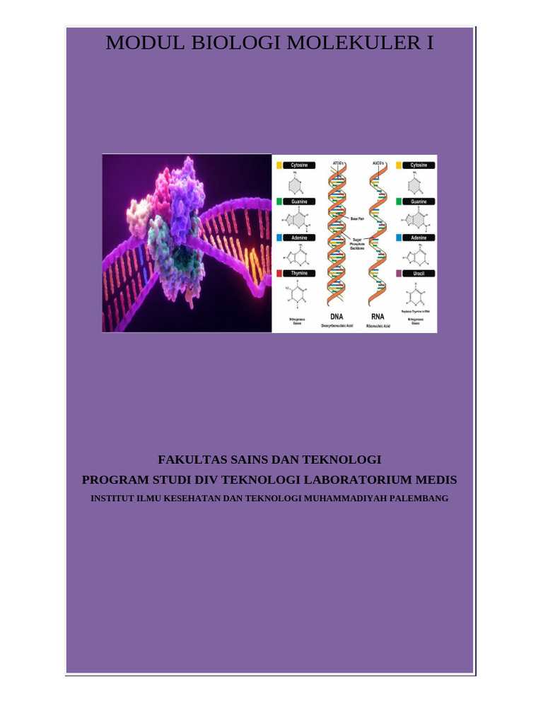 Modul Biologi Molekuler I Kelompok 2 | PDF