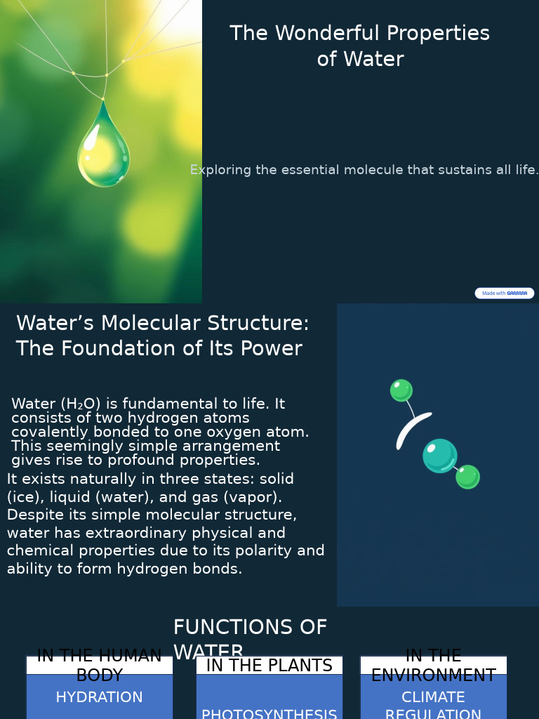 The Wonderful Properties of Water | PDF | Water | Properties Of Water