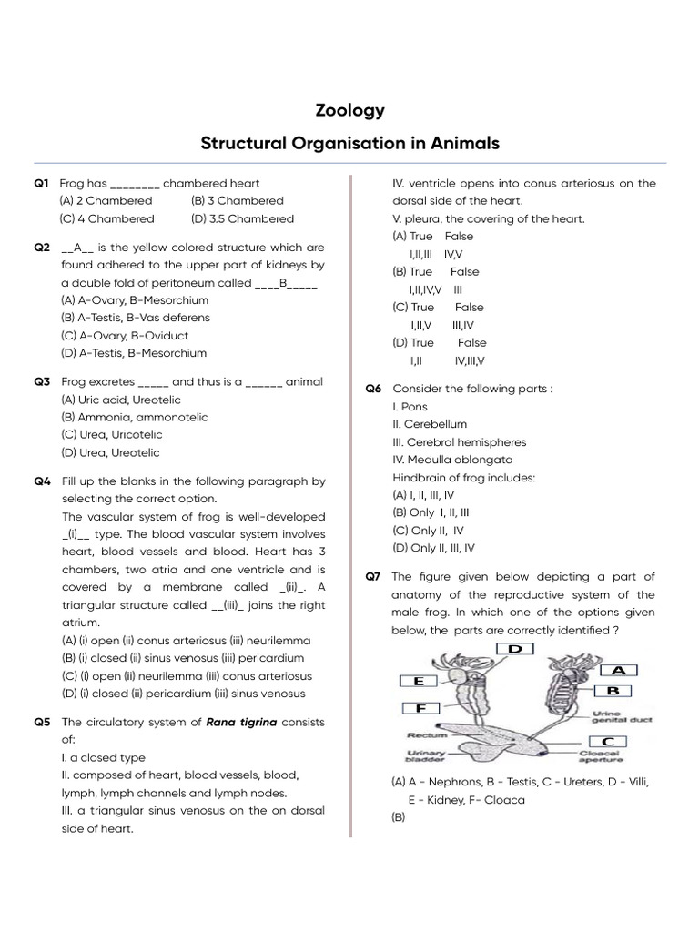 Strucutral Organization in Animals 01 | PDF | Morphology (Biology ...