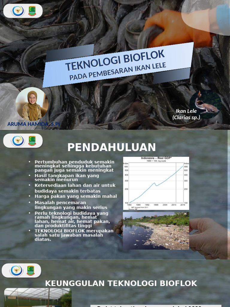 Budidaya Ikan Lele Bioflok | PDF