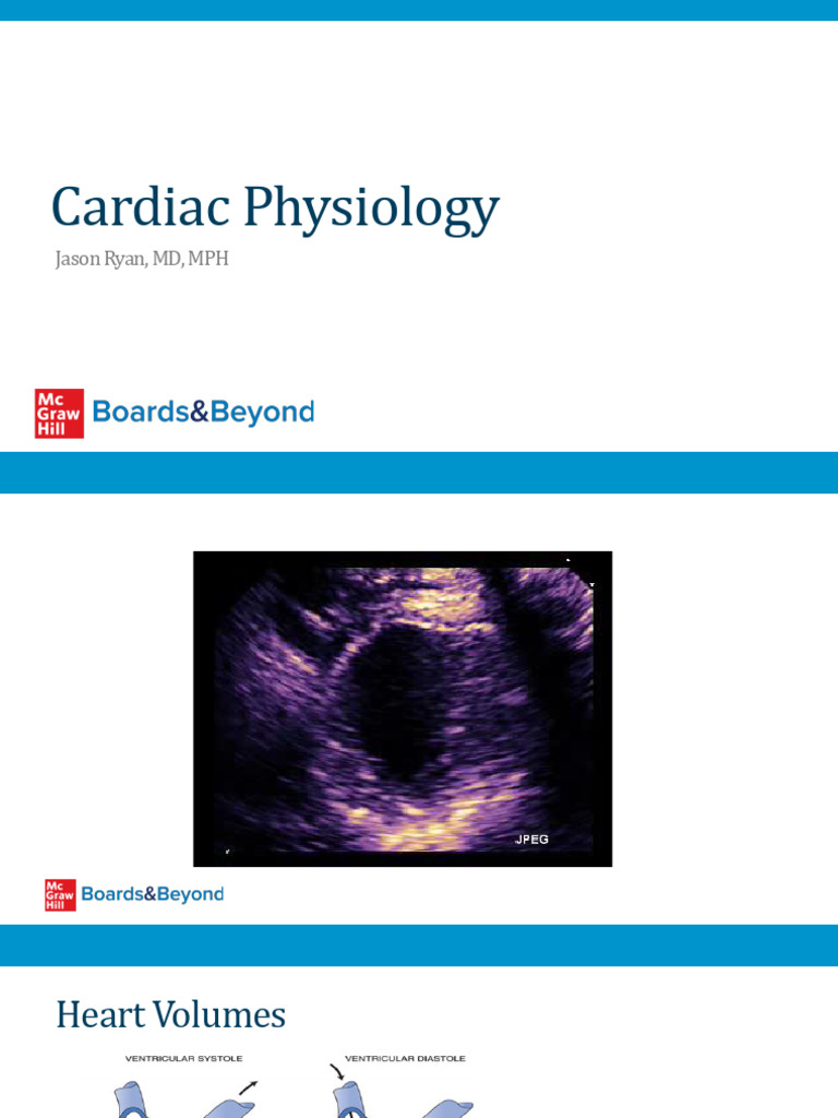 02. Cardiac Physiology | PDF | Blood Pressure | Heart