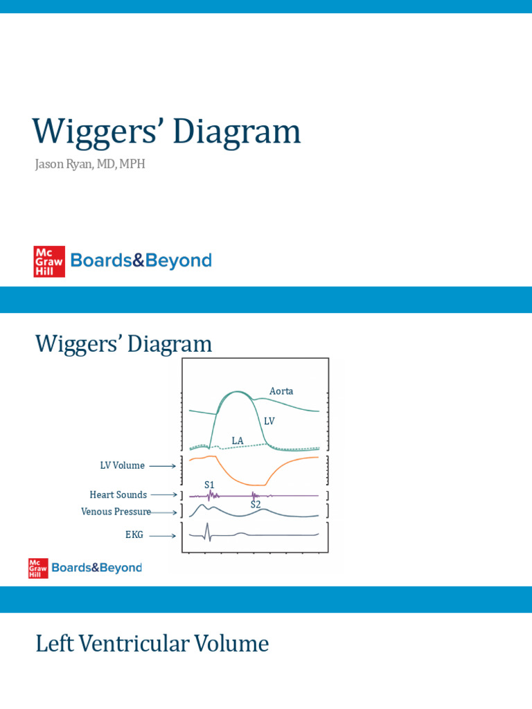 Wiggers' Diagram | PDF