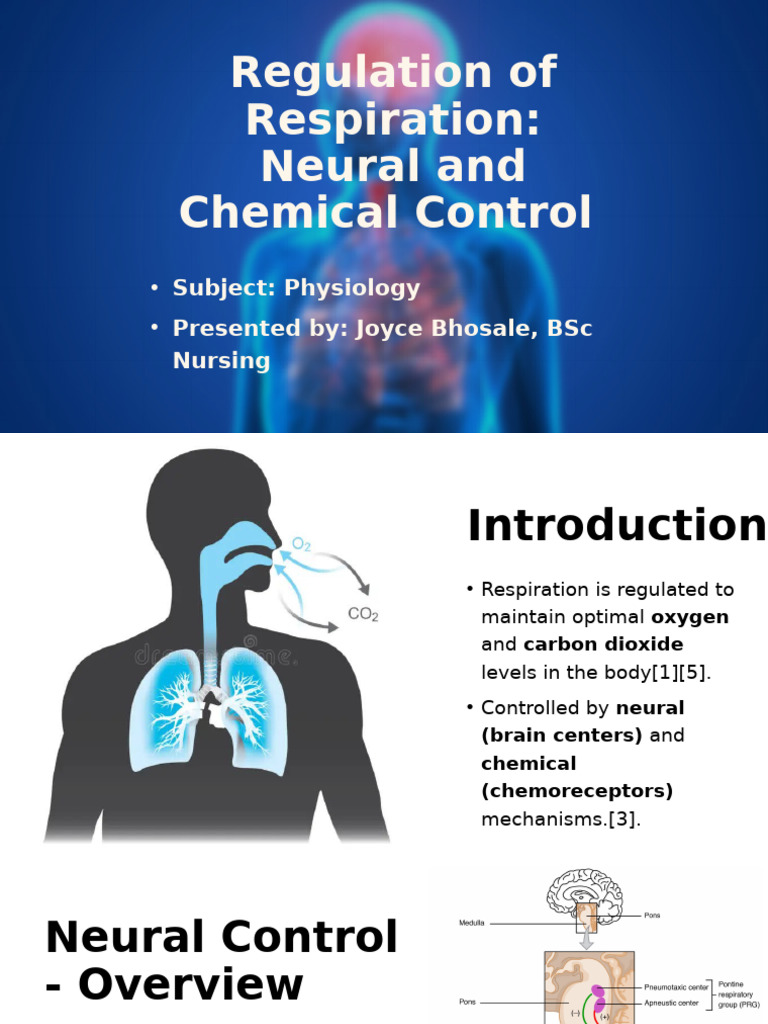 Regulation of Respiration | PDF | Respiration | Physiology