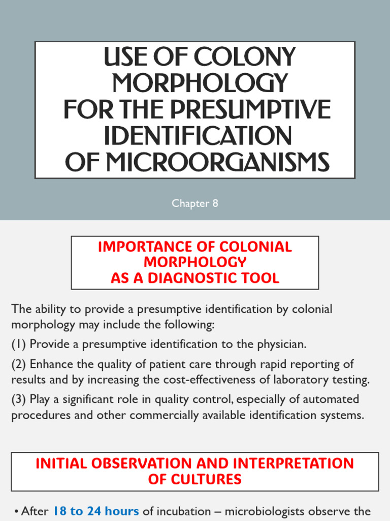 Colony Morphology for Microorganism Identification | PDF ...