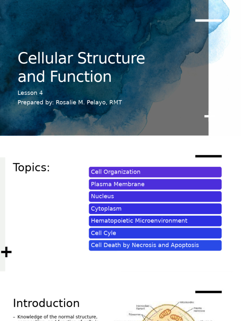 Cellular Structure and Function Overview | PDF | Mitosis | Apoptosis