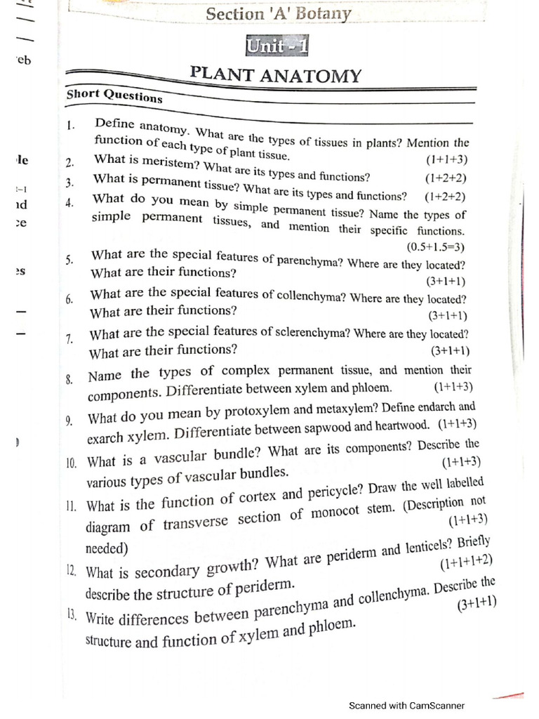 VIP Biology Questions | PDF