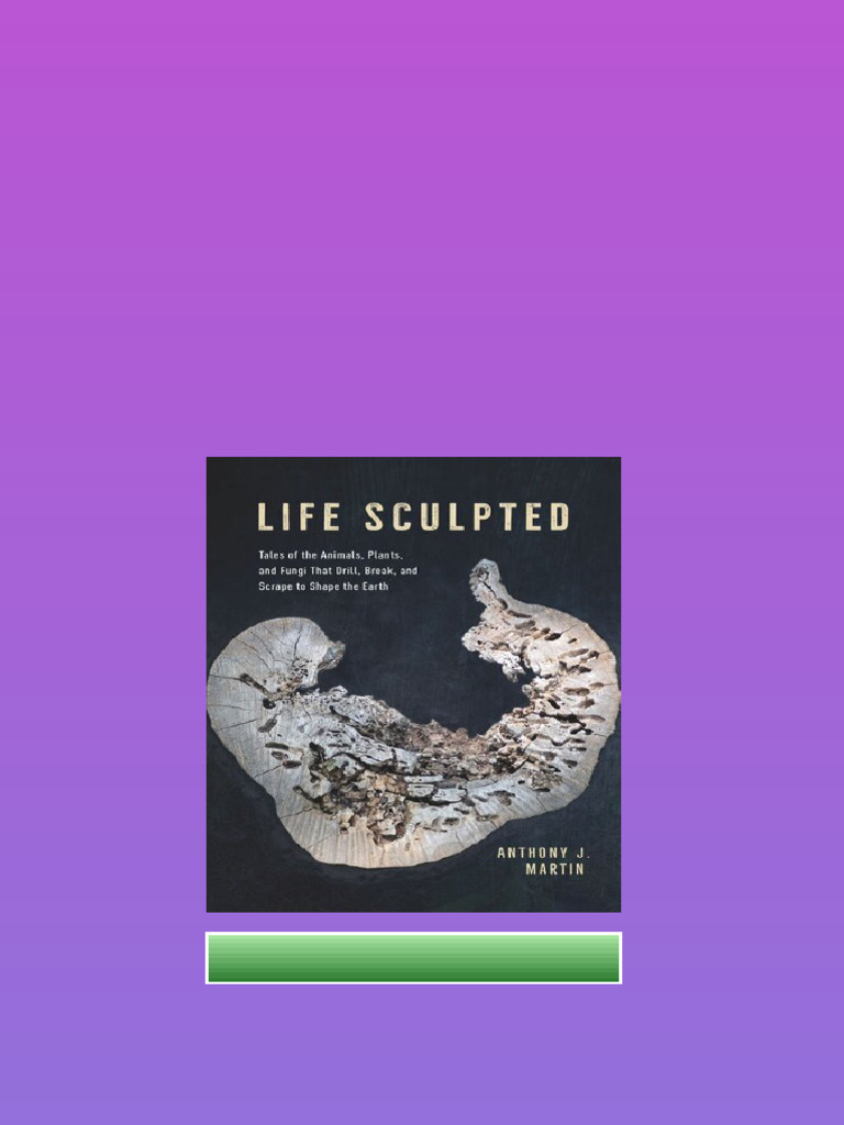 Life Sculpted Tales Of The Animals Plants And Fungi That Drill Break ...