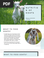 Normal Vital Signs for Goats | PDF | Goat | Thermoregulation