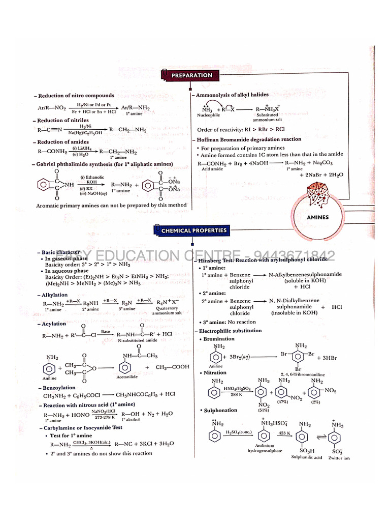 Amines Mind Map | PDF